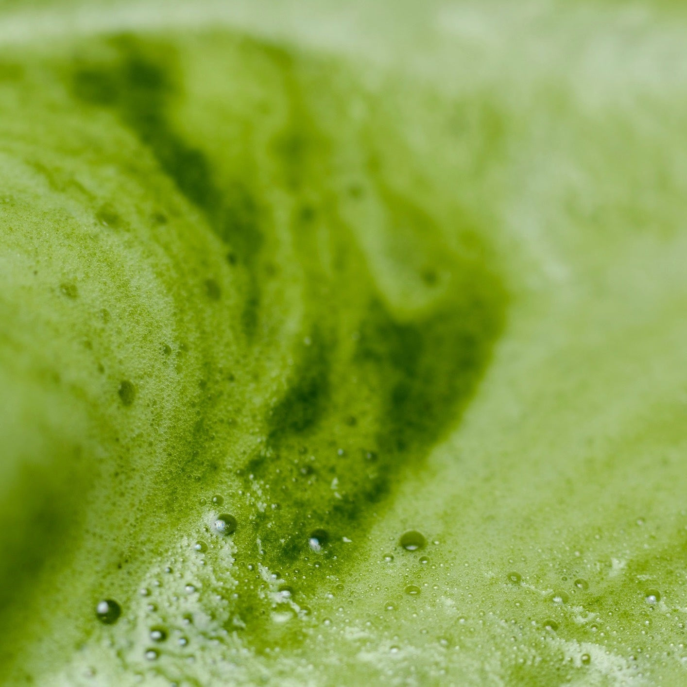 Ideal Matcha Temperature – Recess